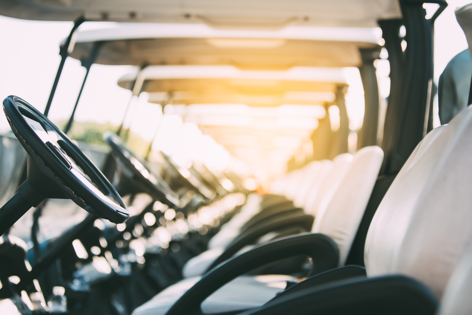 Fleet Golf Carts for Sale in Brandon, SD | Hidden Valley Golf Carts