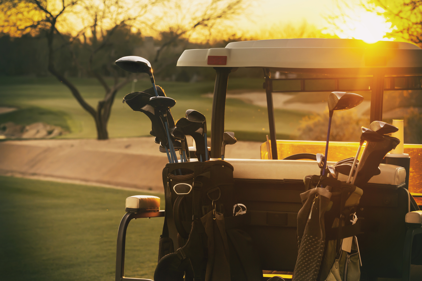 Golf Cart Supplier in Brandon, SD | Hidden Valley Golf Carts